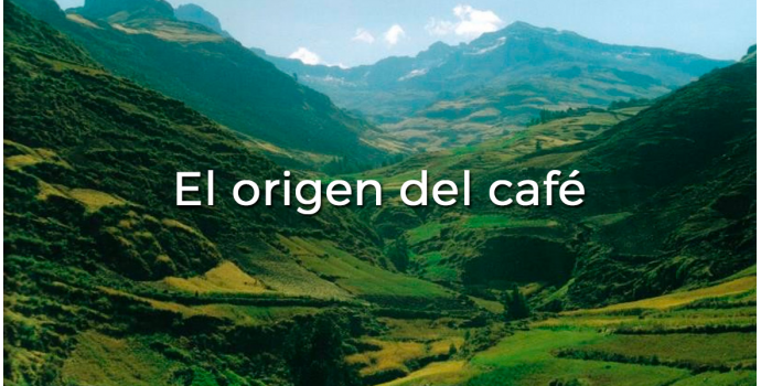 El origen del café